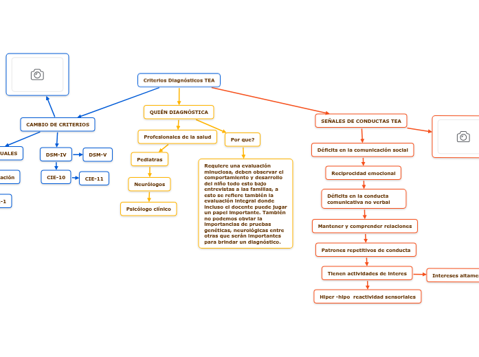 Criterios Diagnósticos TEA - Mind Map